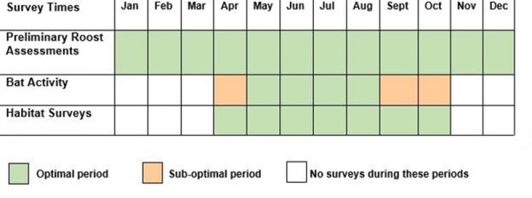 Bat Surveys - Ecology Services Ltd