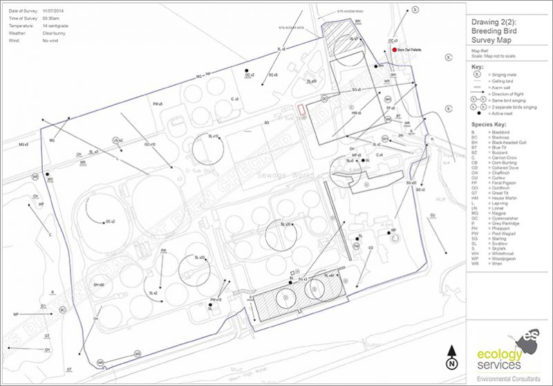 Bird Surveys - Ecology Services Ltd