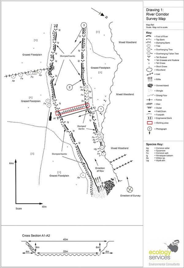 River corridor - Ecology Services Ltd