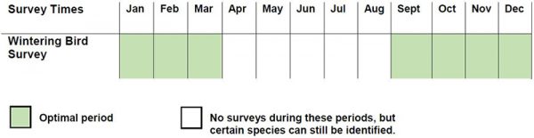 Bird Surveys - Ecology Services Ltd